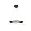 Contemporary Minimalist Multi-Ring Led Circle Light, Dimmable Lights ...